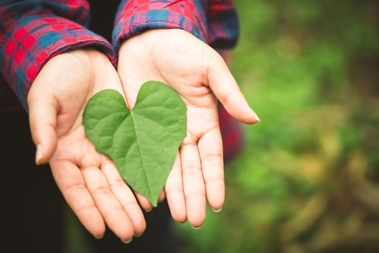 How To Save Money By Going Green Plus More Money Saving Tips Flipboard